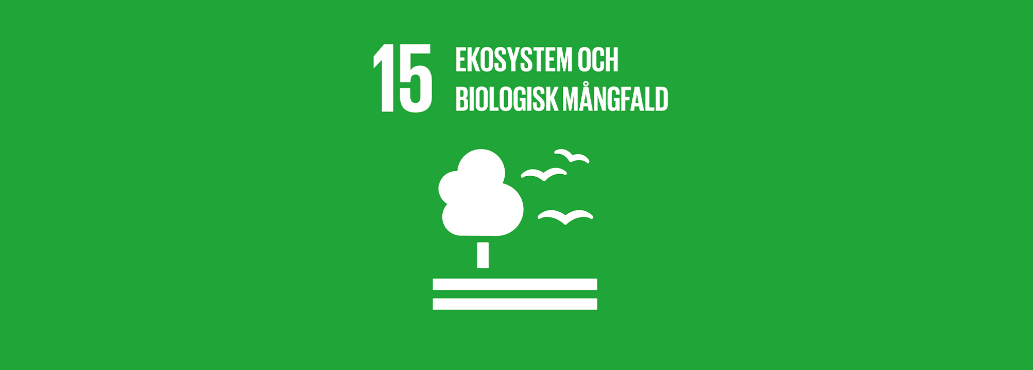 15. Ekosystem och biologisk mångfald - MFD